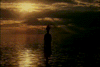 Video Editing Tools | VFX Studio